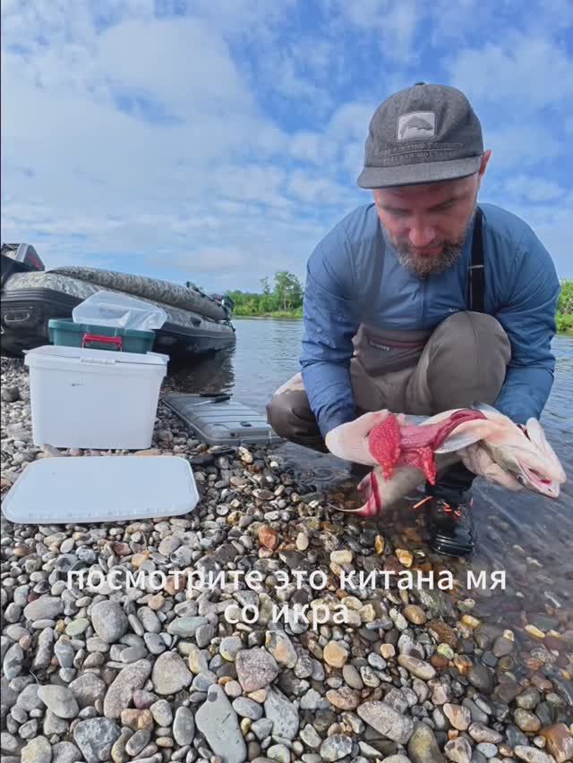 Кета на филе. Прямо у реки