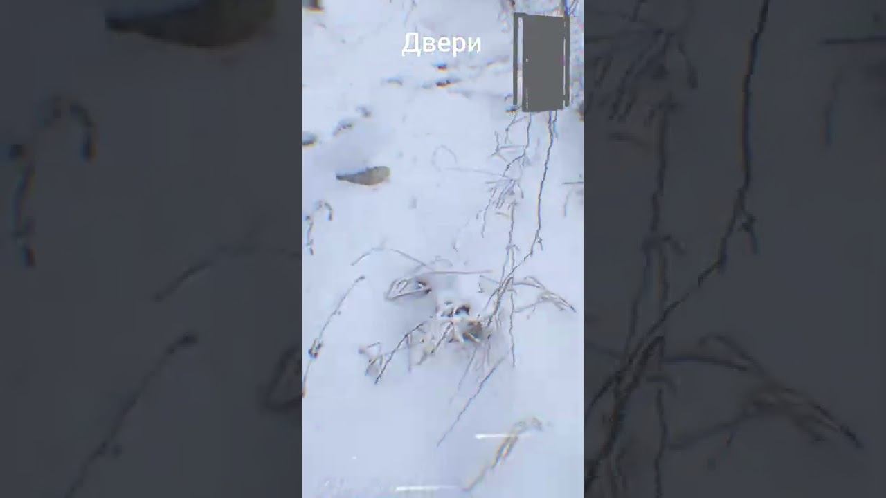 Двери...