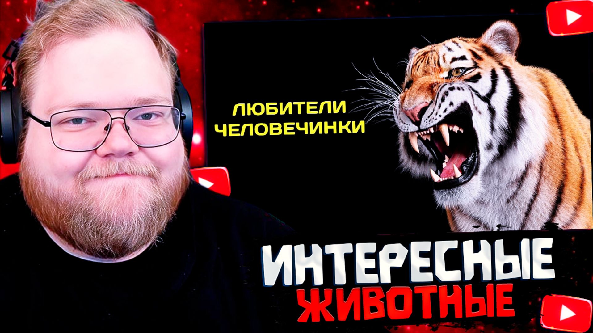 T2x2 СМОТРИТ: ЖИВОТНЫЕ-ЛЮДОЕДЫ // РЕАКЦИЯ Т2х2