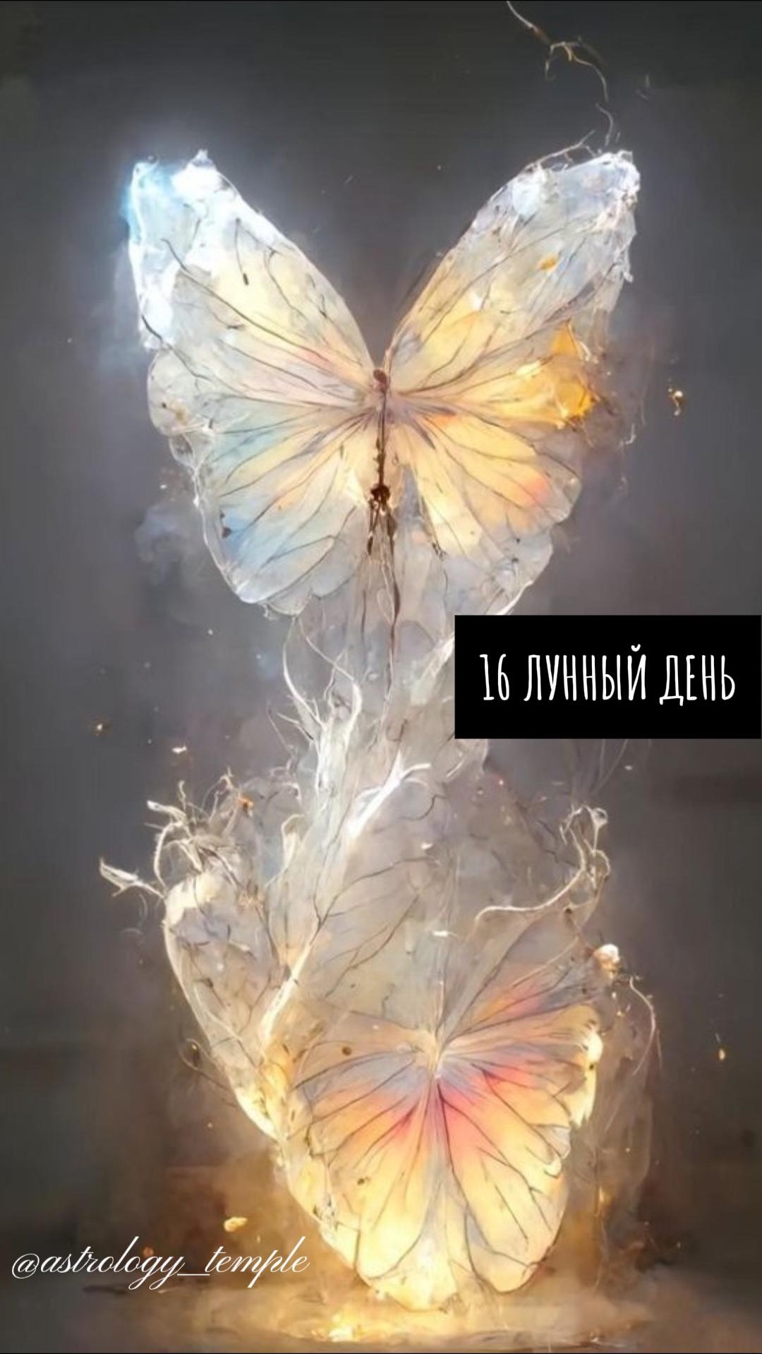 📅 Вторник, 3.02.2026 🌛 16 Лунный день 🌕   Луна в Деве (знаковый день для Дев)   🪄