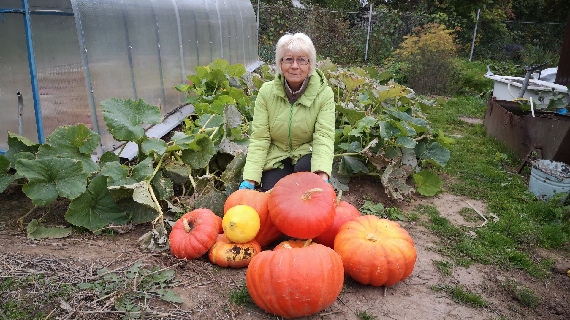 ОБЗОР земли для рассады