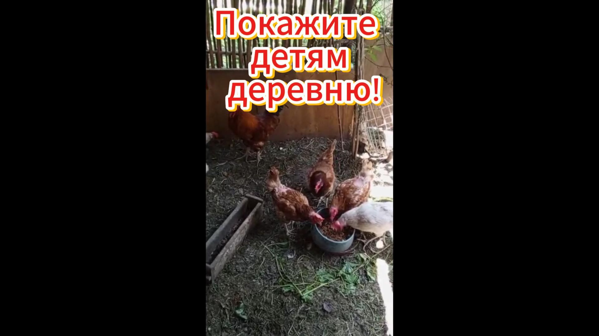 🔥 Покажите детям деревню 🐔