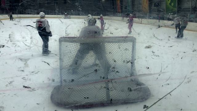 ТОП - 10 ГОЛОВ / СПОРТСМЕН / НОЯБРЬ