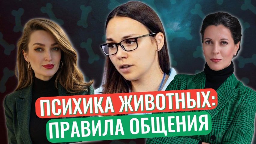 Агрессия и тревога у животных // Мышление // Особенности психики