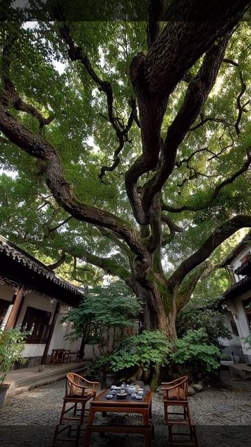 Красота во всем 🫶🏽🍀