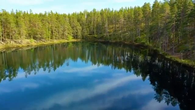 Глава 1. Откровение Иисуса Христа. Подлинное Евангелие / Радостные вести / Эллет Ваггонер