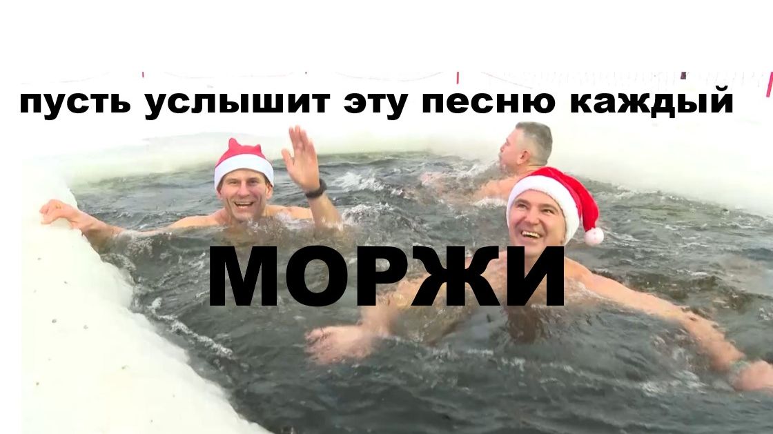 МОРЖИ //ПУСТЬ УСЛЫШИТ ЭТУ ПЕСНЮ КАЖДЫЙ // авторская песня //