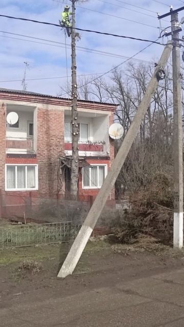 Спил дерева рядом с коттеджем