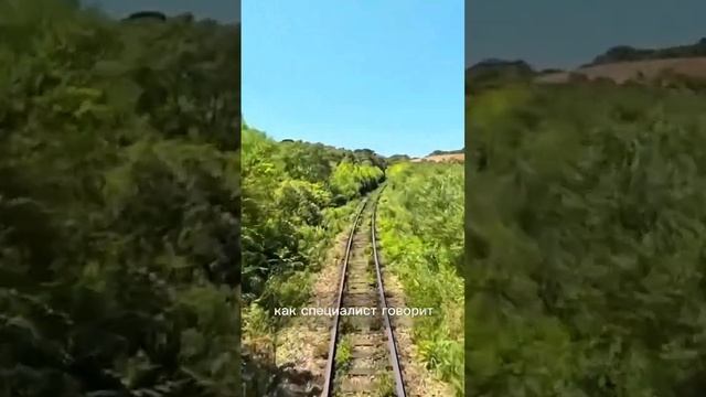 Рубрика "Вопрос гипнотерапевту". — Психолог Александра Боровикова