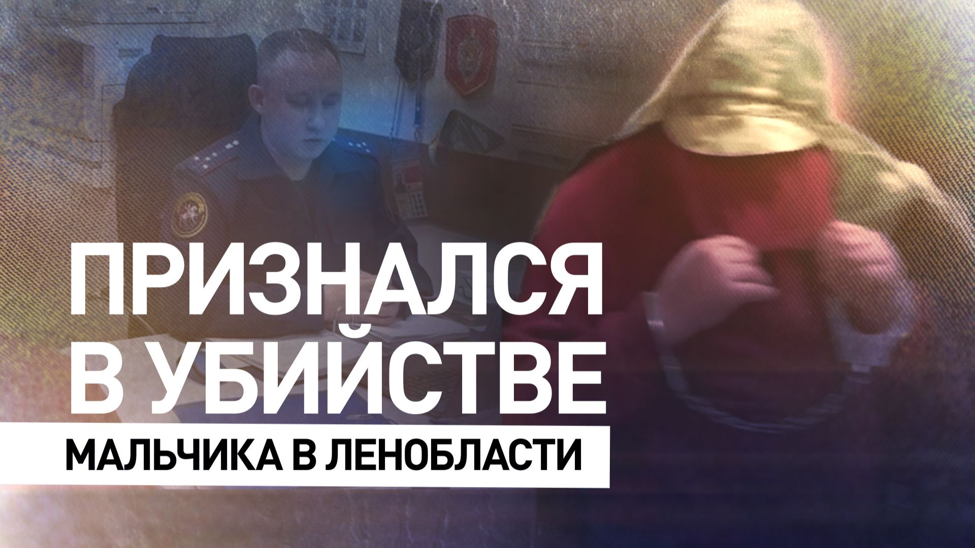 Подозреваемый в убийстве ребёнка в Ленобласти признал вину