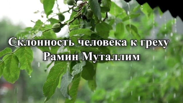 Склонность человека к греху  Рамин Муталлим