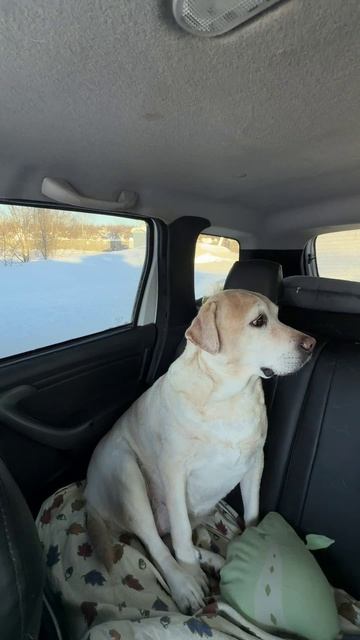 Уля anzl.ru потеряла ПАПУ.