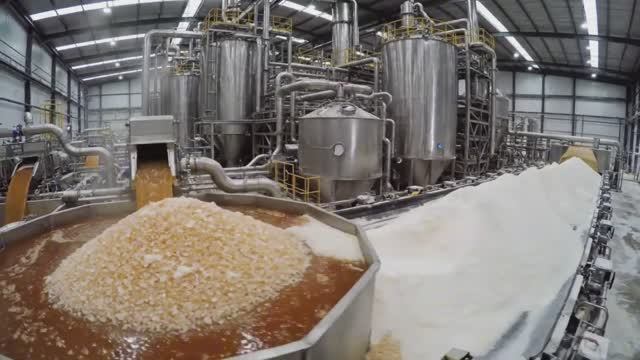 Вот так делают тростниковый сахар. Полный цикл производства.