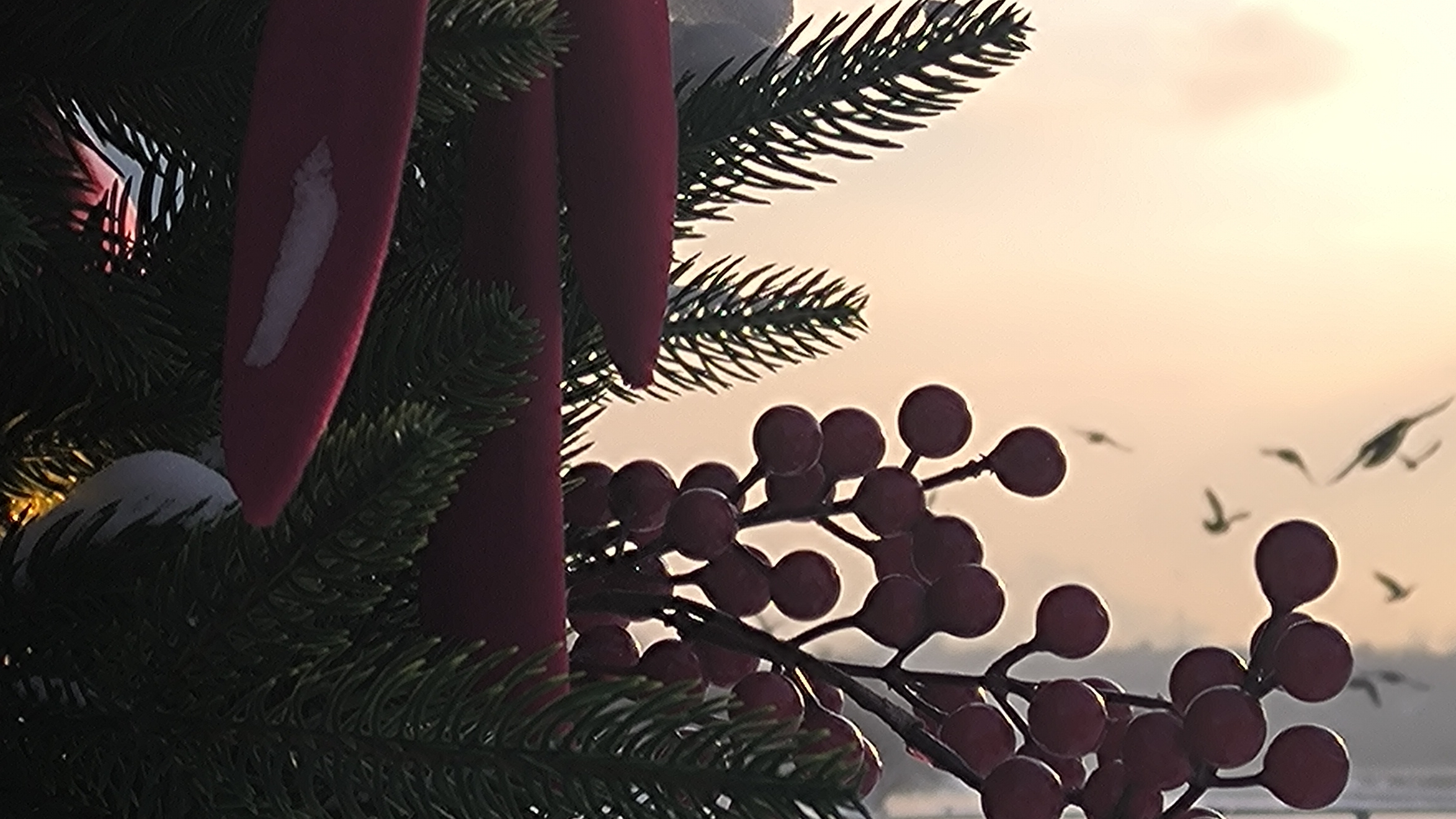 Новогодняя сказка продолжается 03-02-2026 Просто о жизни