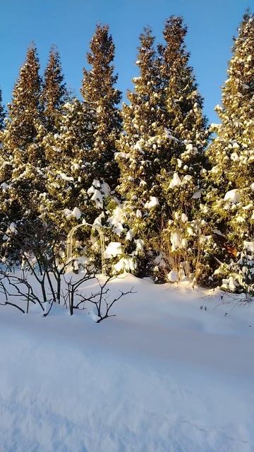 Зима в "Русском Огороде"!