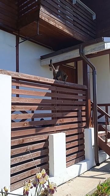 Если не пускают в окно, я иду в дверь