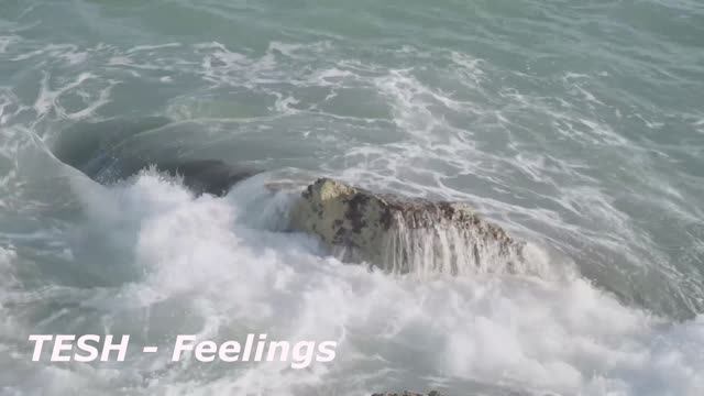 TESH - Feelings