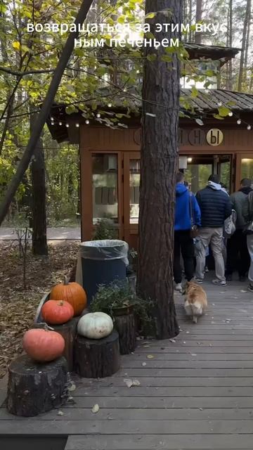 Кофейня стала продавать ЭТО и удвоилась #shorts #кофейня