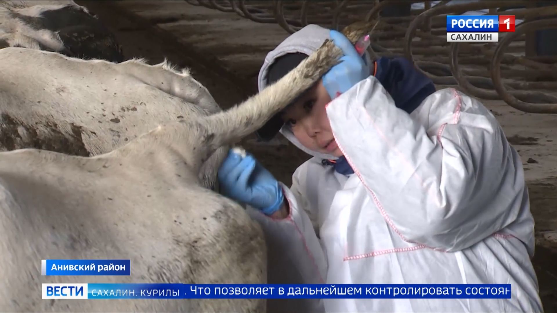 "Вести. Сахалин. Курилы". 2 февраля 2026 года