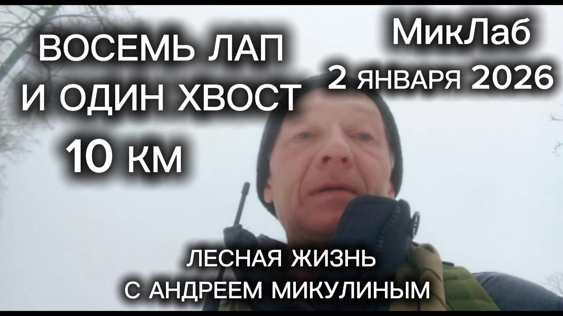 Восемь лап и один хвост. 10 км. Лесная Жизнь с Андреем Микулиным. Выпуск от 02.01.2026. МикЛаб