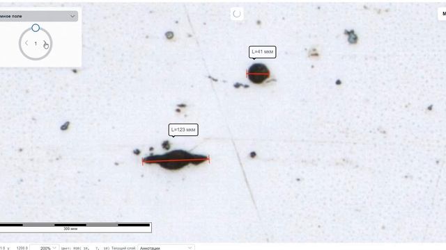 Съемка и анимация многослойных изображений (Z-стеков). Светлое-темное поле