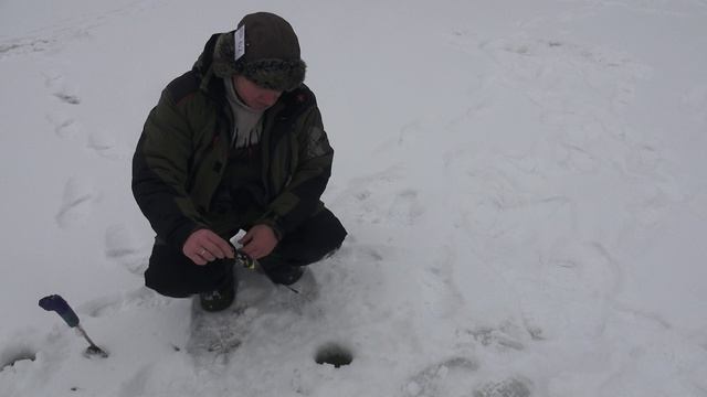 О главном. Выпуск 106