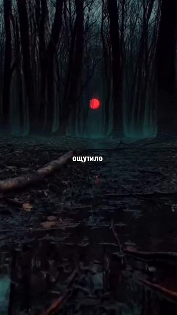 Все меняется в этой точке