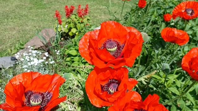 Рассказ - "Ровесники"