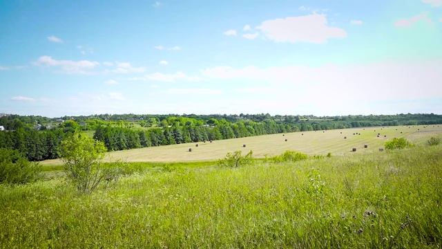 Место слияния Дона и Непрядвы - ориентир места Куликовской битвы