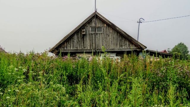 июль 25, 2019-- пруд Лесовик в д. Андреевка. Смог, туман и красное солнце