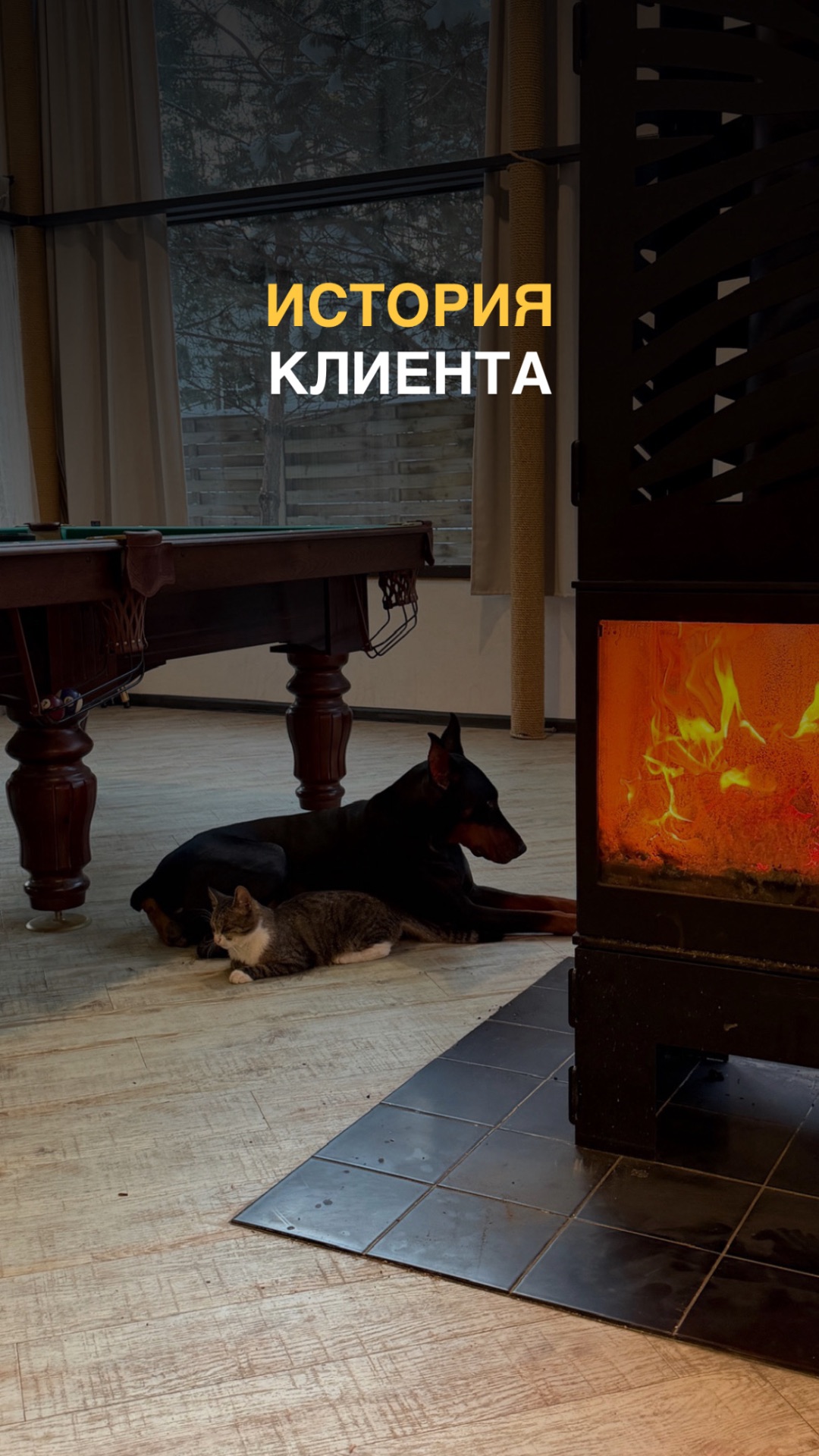 Новый подкаст №86. ВДА и их жизненные навыки / Какие навыки не получают взрослые дети алкоголиков