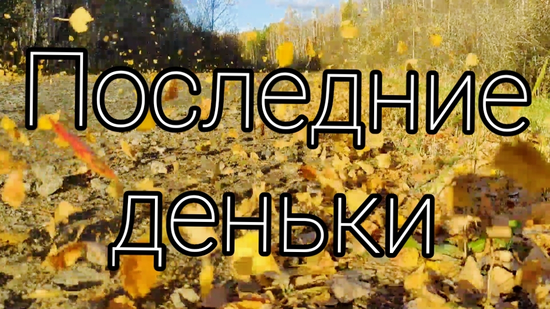 s03e19 Последние деньки