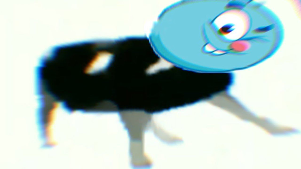 Смешарики Крош Танцует Под Cypis - Gdzie jest biały węgorz