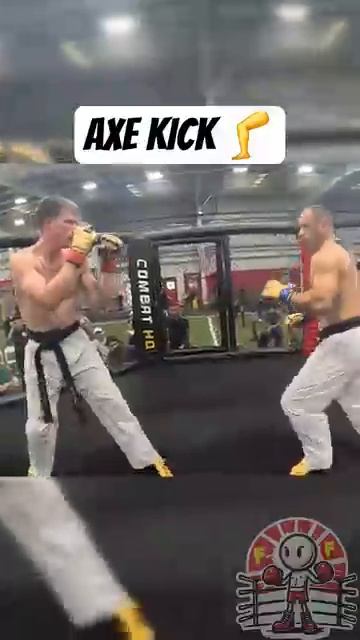 Axe kick
