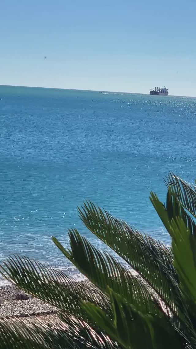 Распогодилось ☀️😎👍