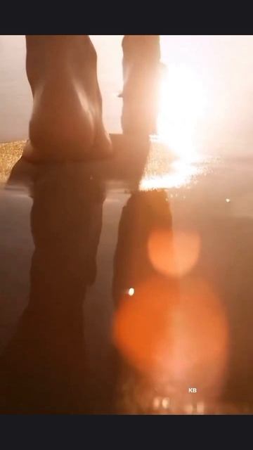 #рекомендации #видеооткрытка #katyboro