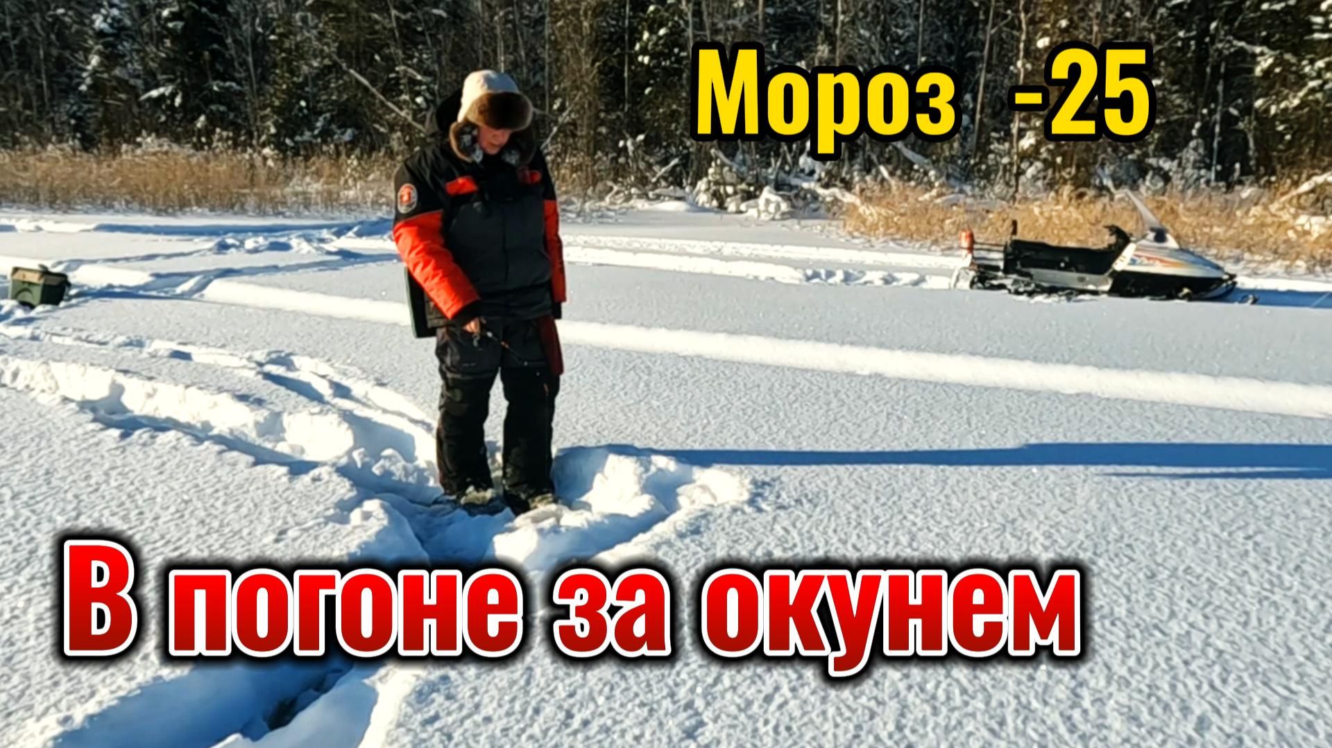 Самое окунёвое время. Рыбалка при -25 С.