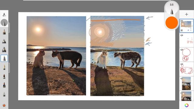 Контрсвет. Разбор с котами.