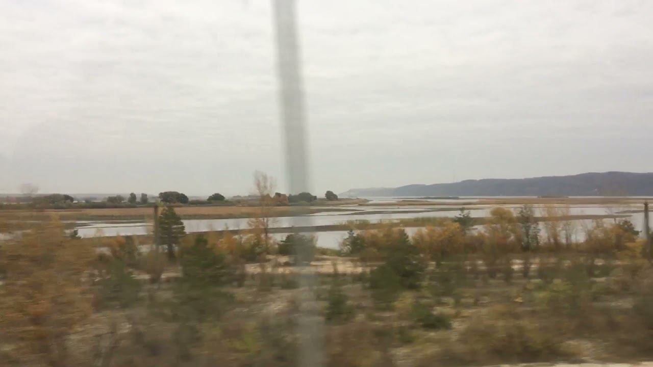 18 октября 2021 г.