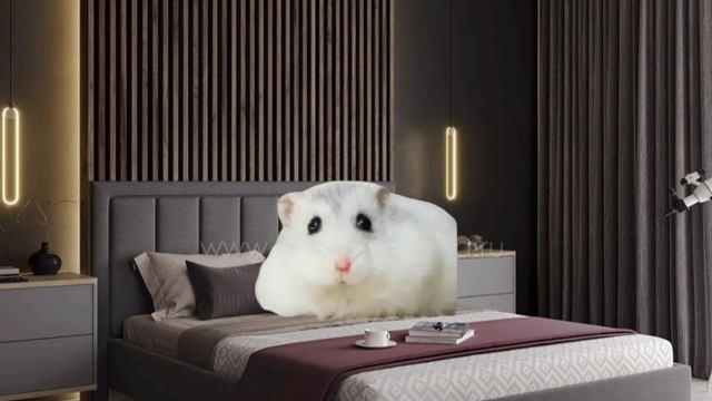 хомяк воровщик 11 серия