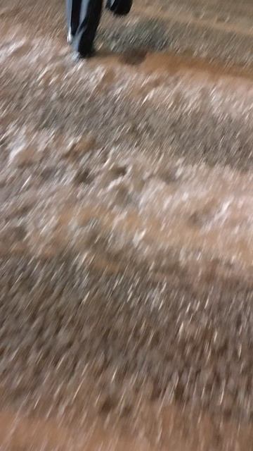 №1199 ул. Сибирская. 22 декабря 2025 г., 17:21:44 VID_20251222_172037168