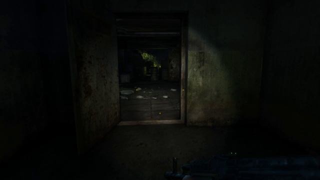 Metro 2033 Redux (Опасный Туннель))