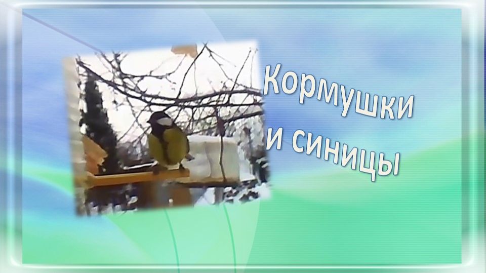 Кормушки и синицы