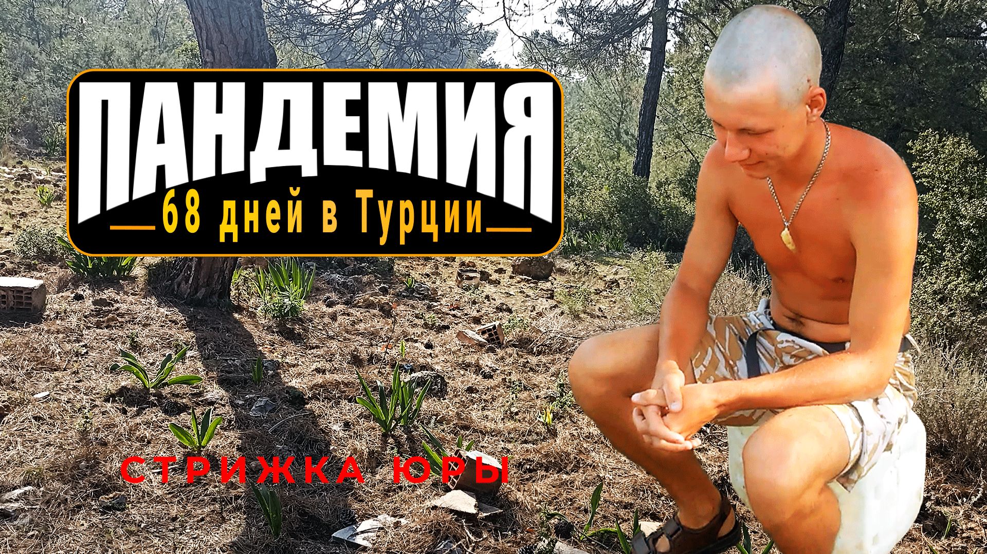 Турецкий бербер