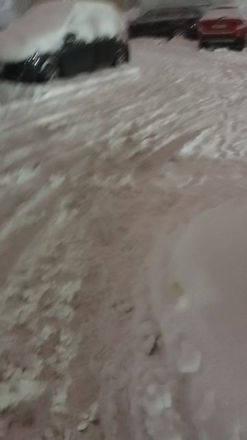 №1201 Двор Сибирская 73. 22 декабря 2025 г., 17:30:07 VID_20251222_172905071