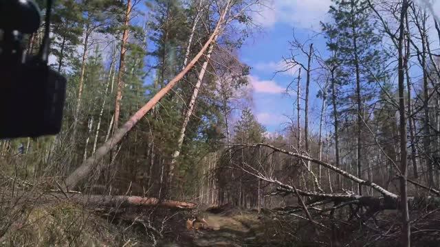 Бийск - Вершинино -Коммуна - 3 часть