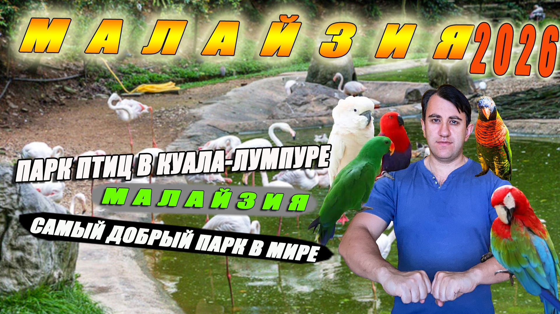 МАЛАЙЗИЯ 2026. ПАРК ПТИЦ В КУАЛА-ЛУМПУРЕ. ШУМНЫЕ УЛИЦЫ МАЛАЗИЙСКОЙ СТОЛИЦЫ.