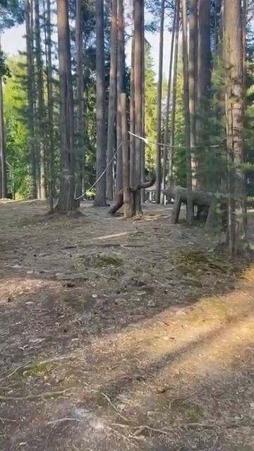 Городок на деревьях. База Эдем. Карелия