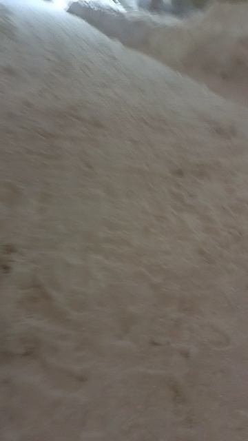 №1202 Двор Сибирская 73. 22 декабря 2025 г., 17:31:00 VID_20251222_173013004