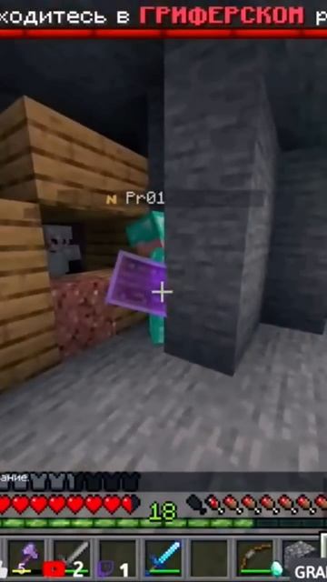 Minecraft Лучшее #1317